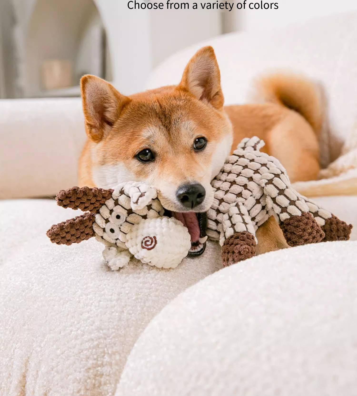 Pet Dog Plush Toy Chewing Molars Clean Teeth Sound Relieve Boredom ...