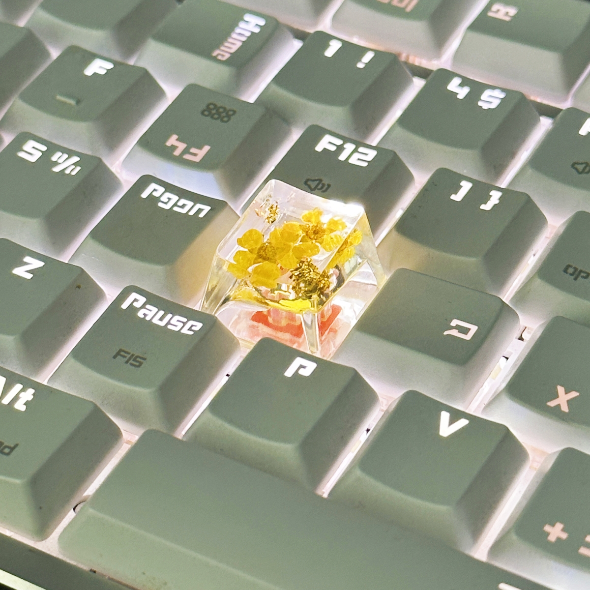 1 Piece Transparent Flower Keyboard Keycap Real Dried Flower Plum ...