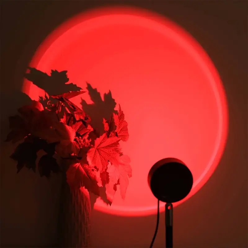1pcrgb16 Color-changing LED Sunset Lights Transform Your Room ...