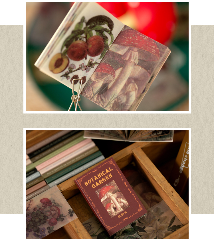 JotBox 50pcs/pack Vintage Creative Translucent Material Paper Litmus ...