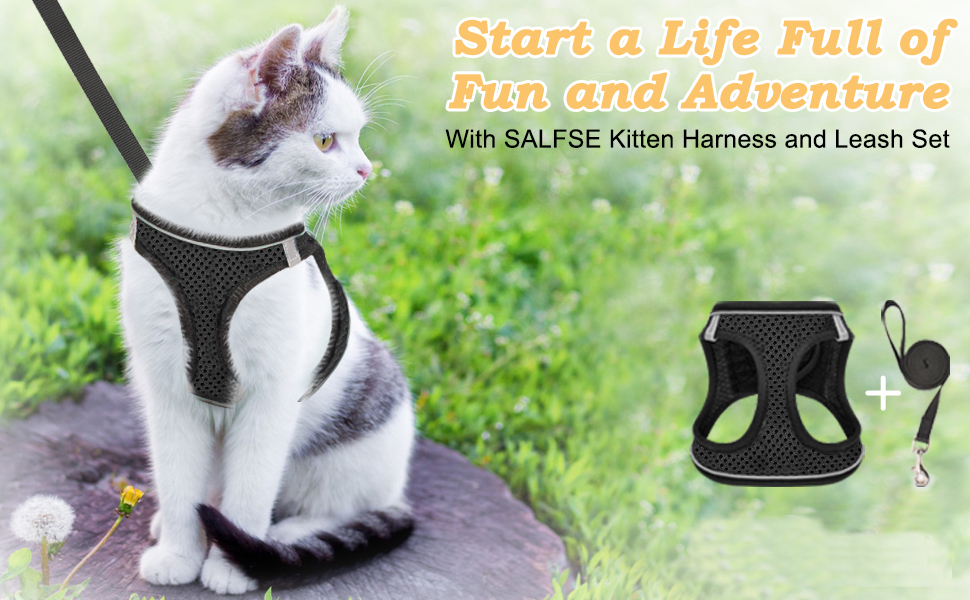 Adjustable Cat & Kitten Harness with Leash – Reflective Soft Mesh Vest ...