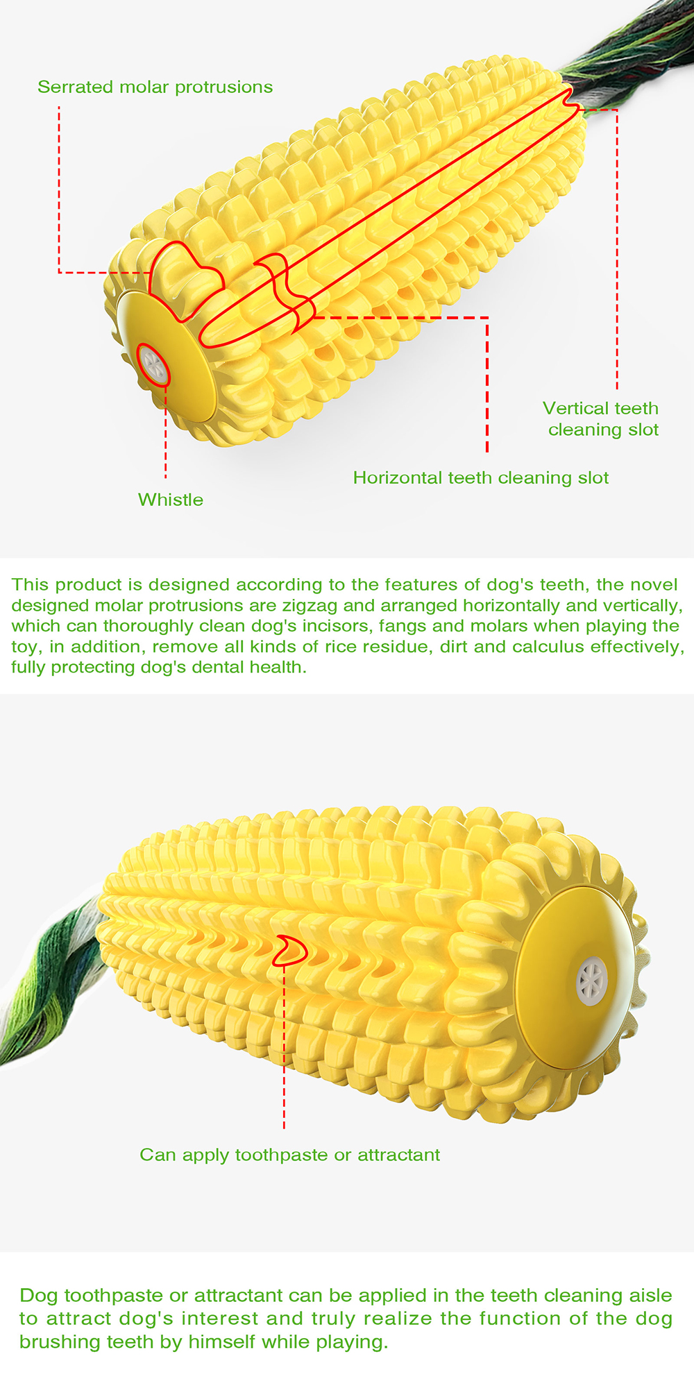 Pet Voice Corn Toy with Rope Interactive Teeth Cleaning Molar Corn Cob ...