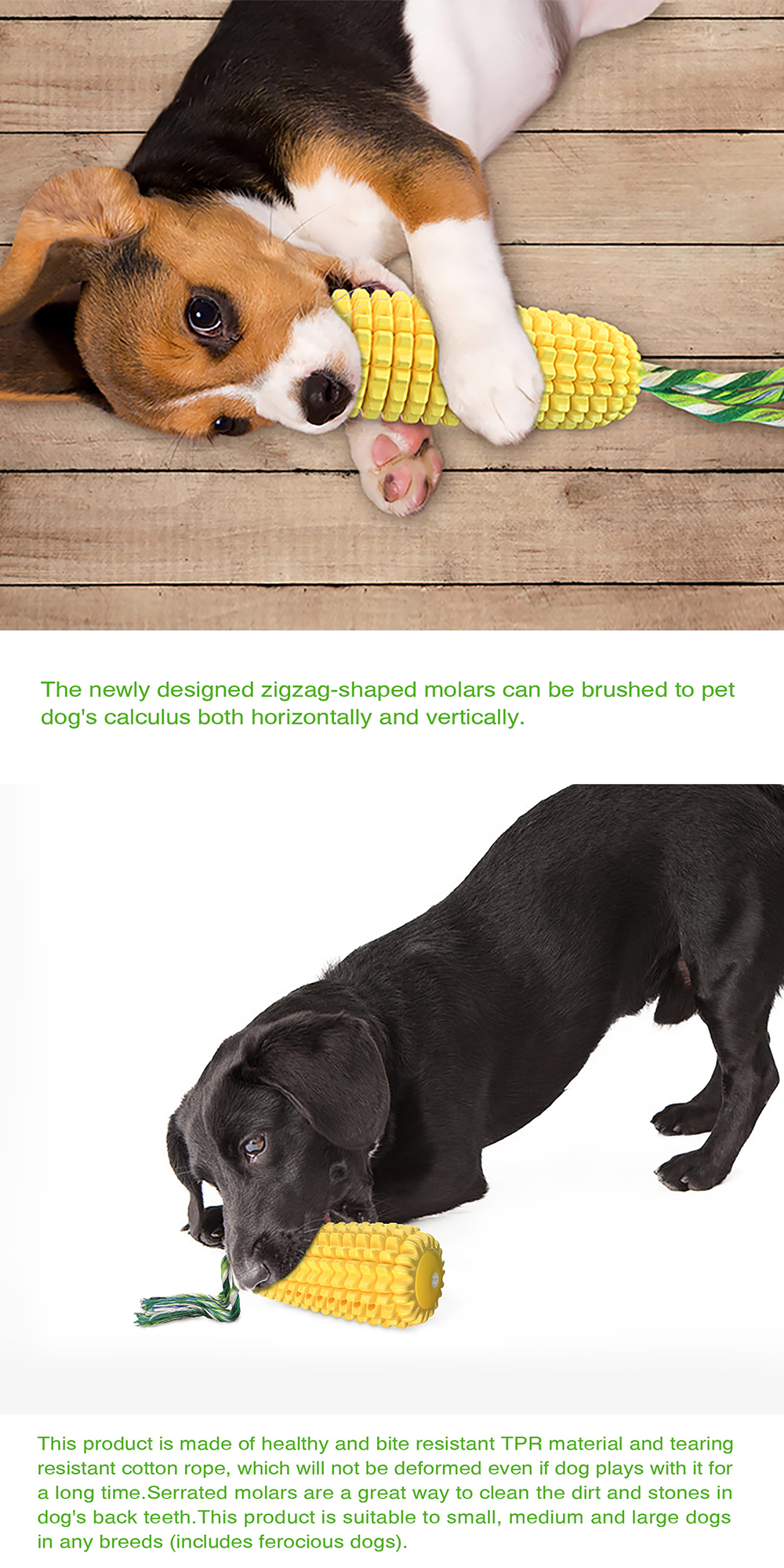 Pet Voice Corn Toy with Rope Interactive Teeth Cleaning Molar Corn Cob ...