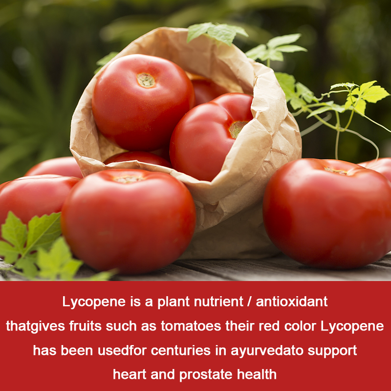 Catfit Lycopene Capsules 20mg Lycopene Supplement Vegetarian for ...