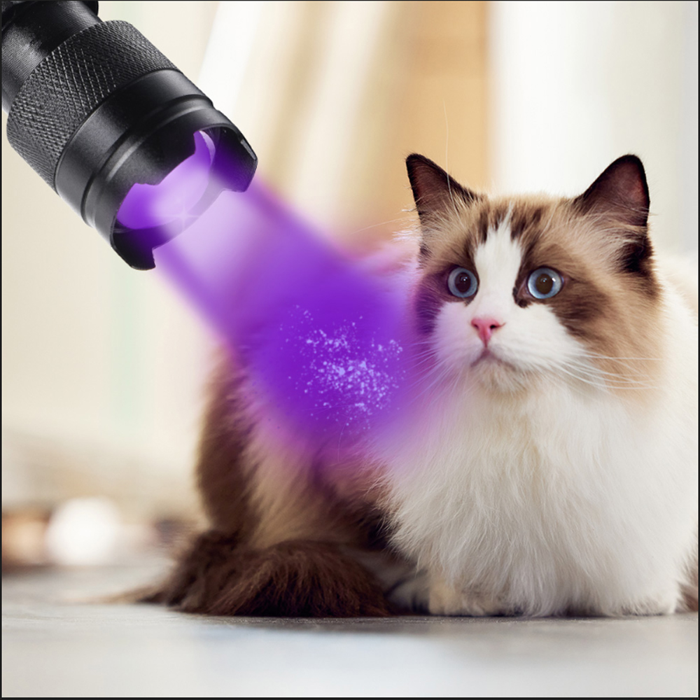 UV Purple Flashlight 365NM/395NM Aluminum Alloy Cash Detector ...