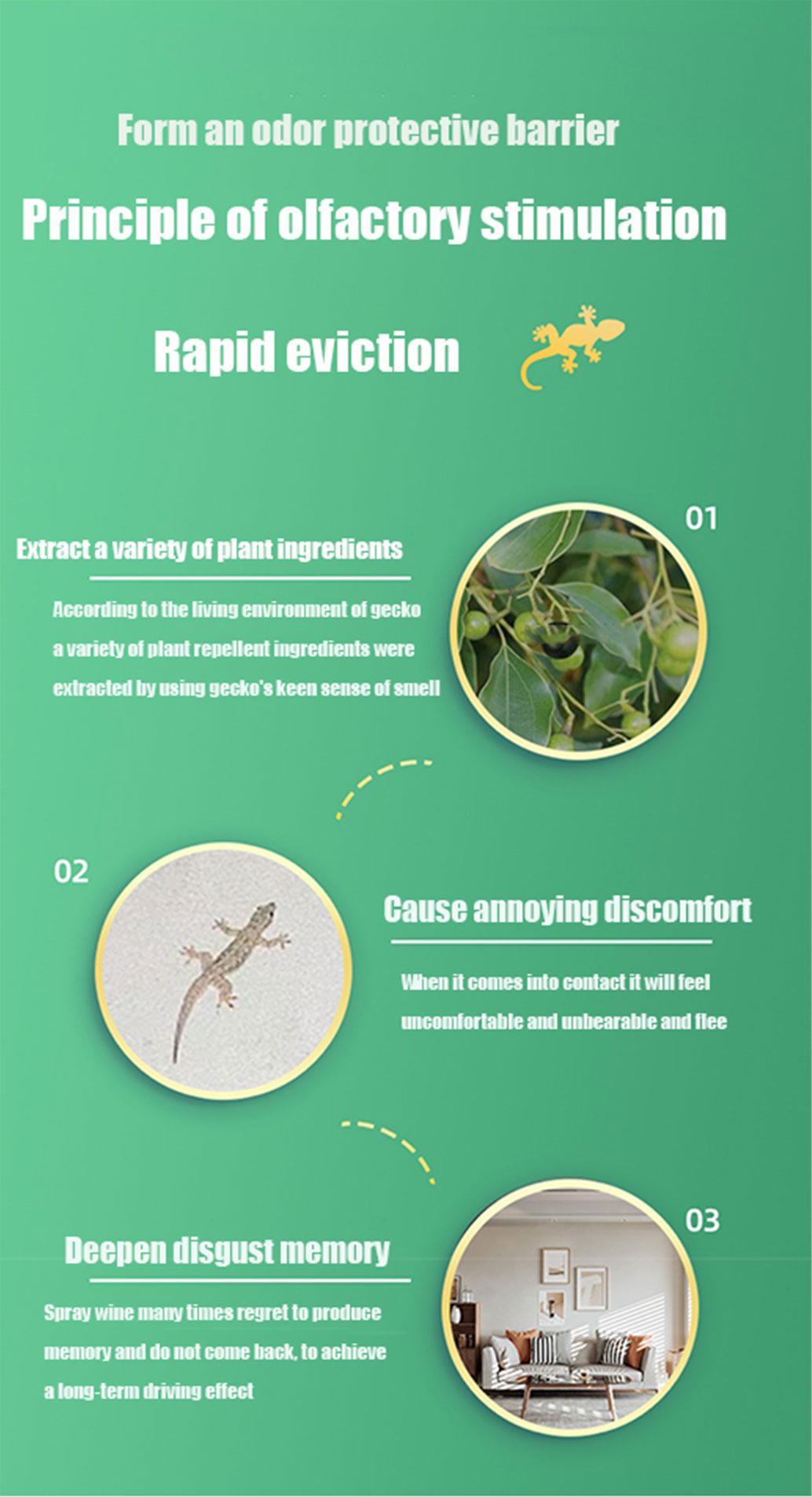 All the lizards are gone! Vgd Lizard repellent spray Lizard spray ...