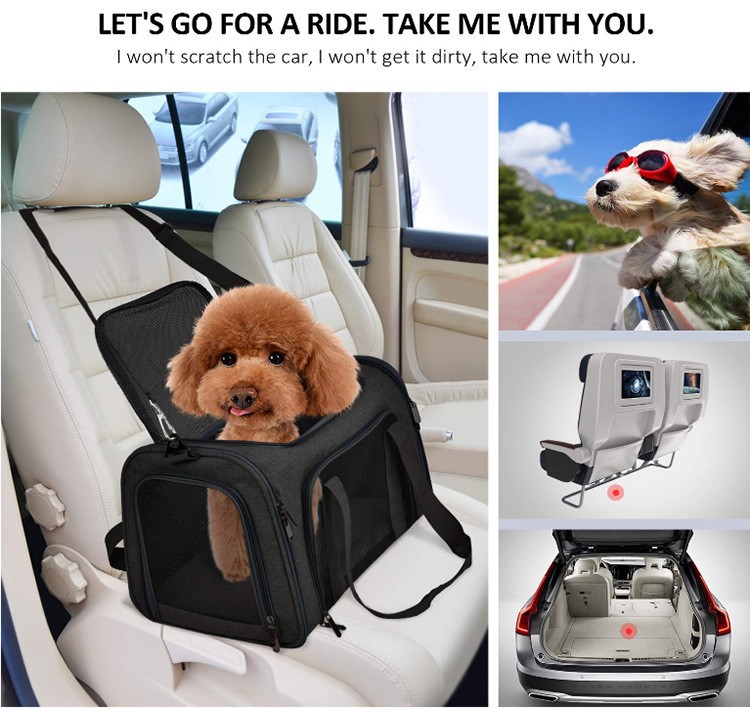 【SG Stock】Cat Carrier-Cat Pet Carriers Dog Travel Bags Airline Approved ...
