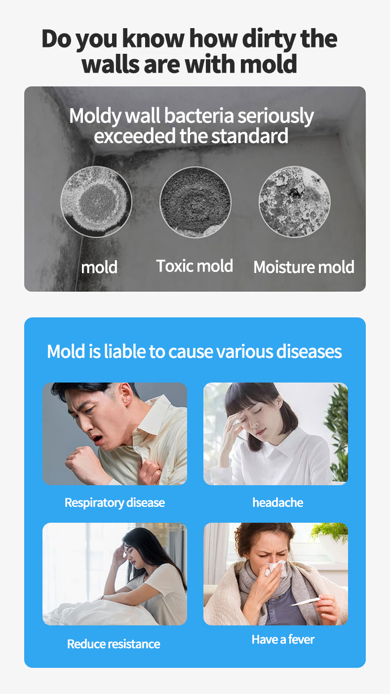 【Hot In Japan】5 Minutes Quickly Mold Remover Spray Mold Mildew Stains ...