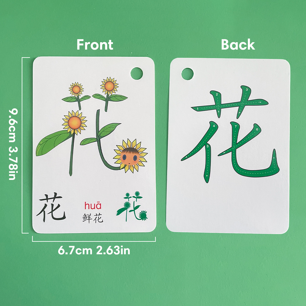 100Pcs Picture Literacy Chinese Characters Flash Cards for Kids Toddler ...