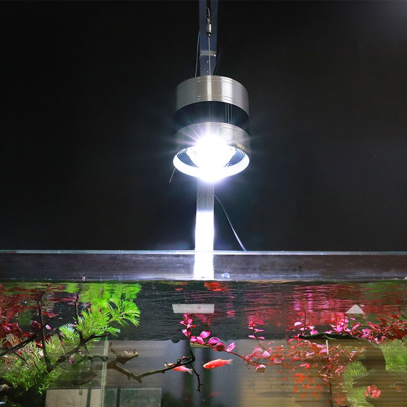 【Free Shipping】Aquatic Lamp Aquarium Light Fish Tank Light Seawater ...