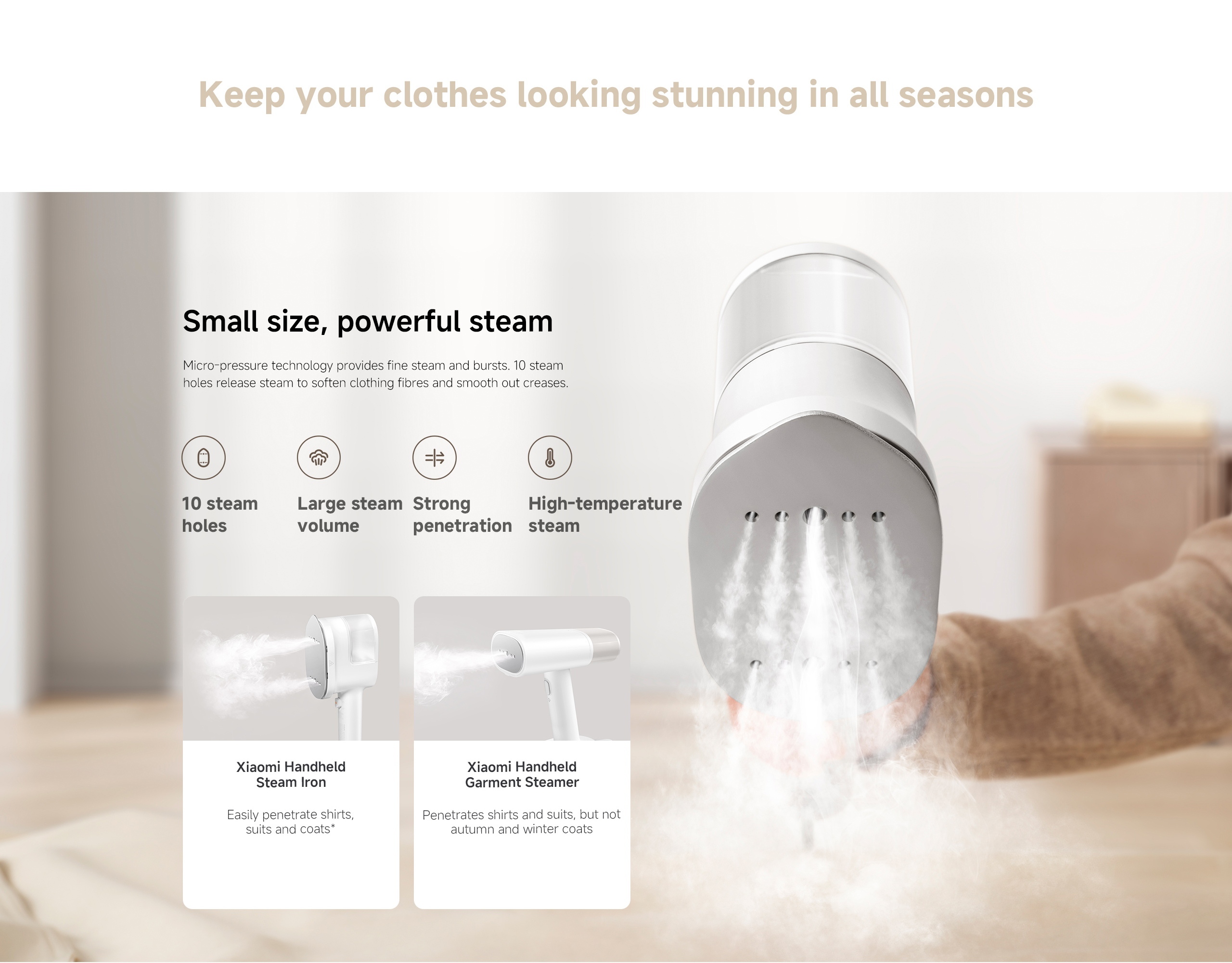 Xiaomi Handheld Steam Iron | Shopee Singapore