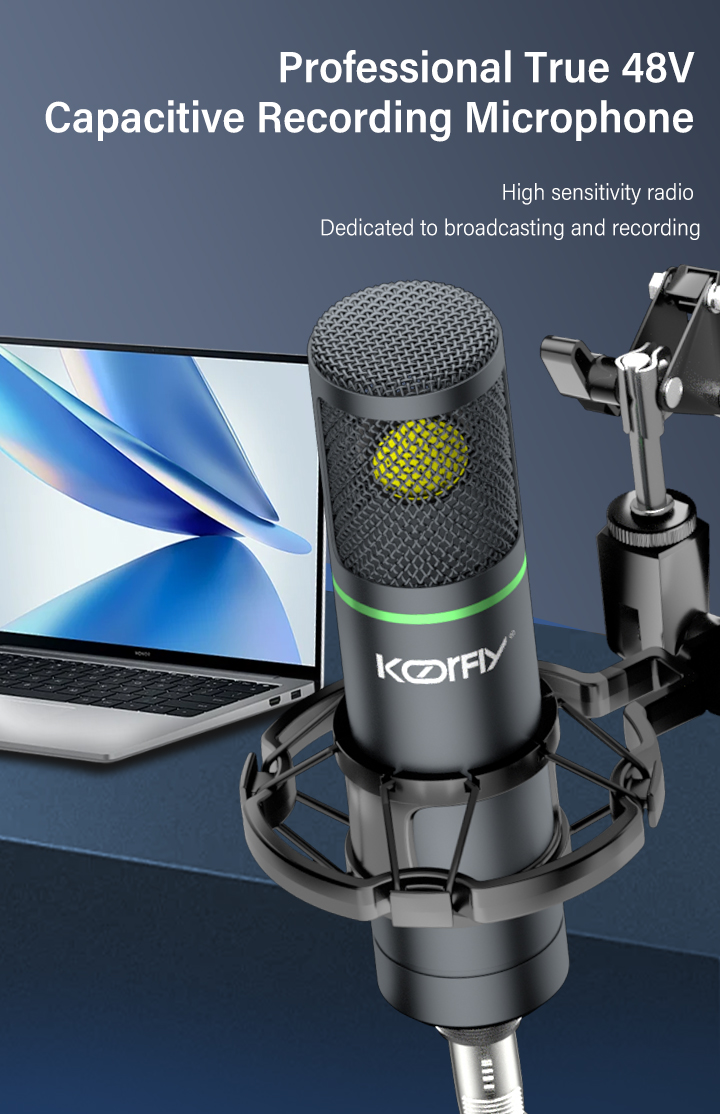 KoorFly F22 U87 Pro Condenser Microphone With XLR Cable Microphone ...