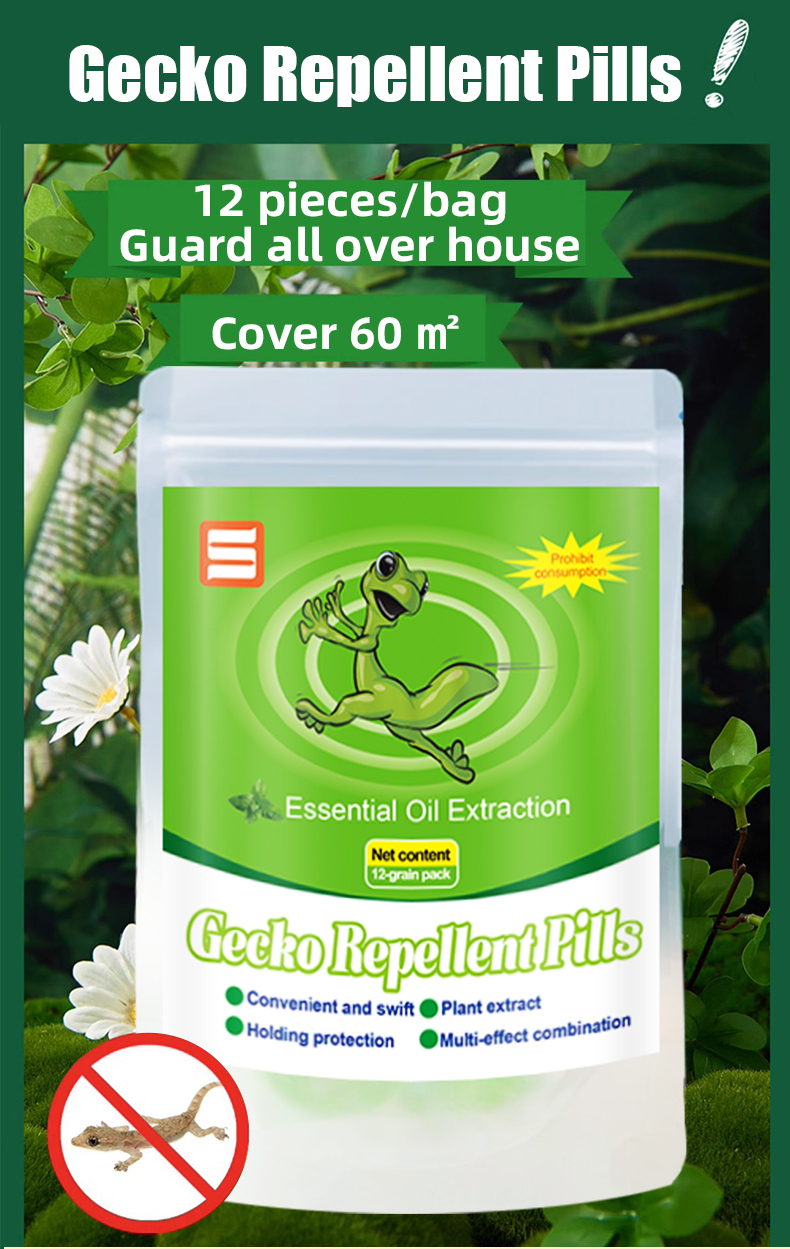 No Lizard in house SAN Lizard repellent Anti lizard Gecko repellent ...