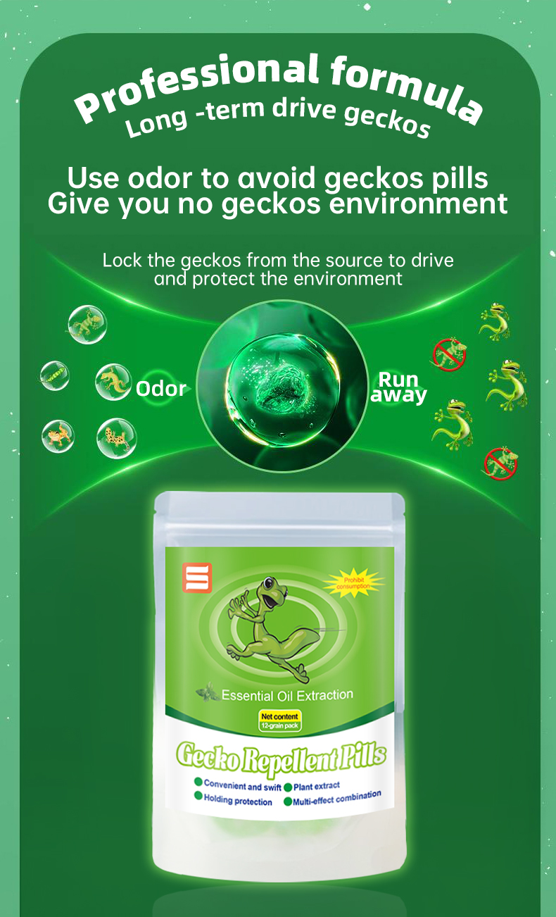 No Lizard in house SAN Lizard repellent Anti lizard Gecko repellent ...
