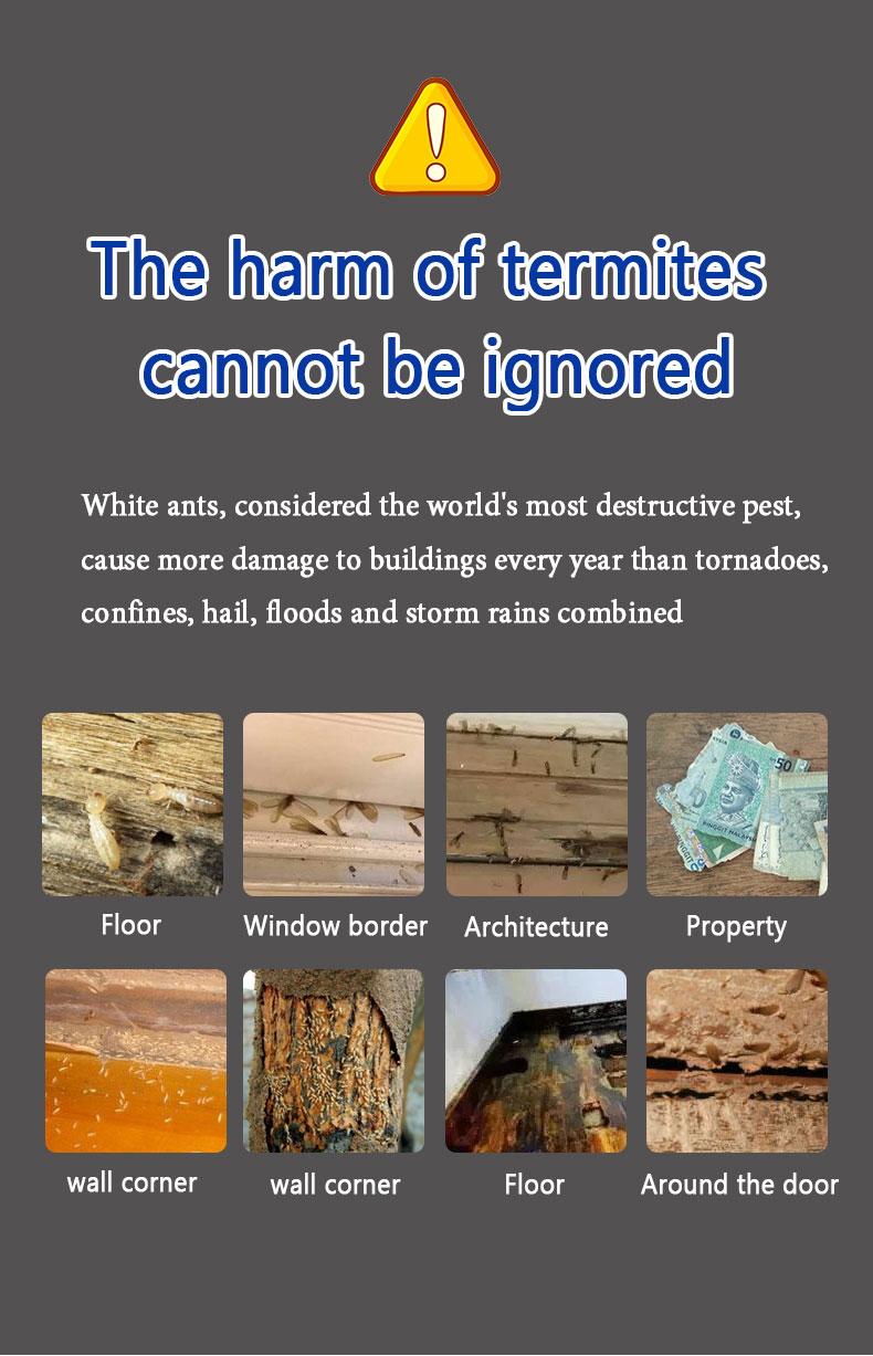 No termites for 100years BS Termite killer Termite spray It kills all ...