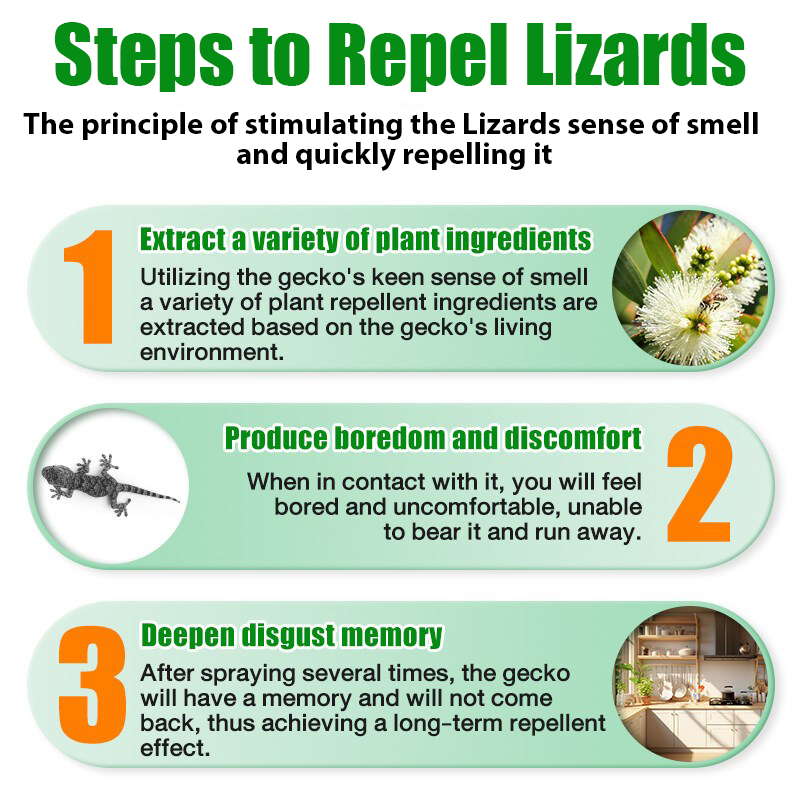 VGD Lizard Repellent Gecko Repellent Magic Box Plant Formula Upgraded ...