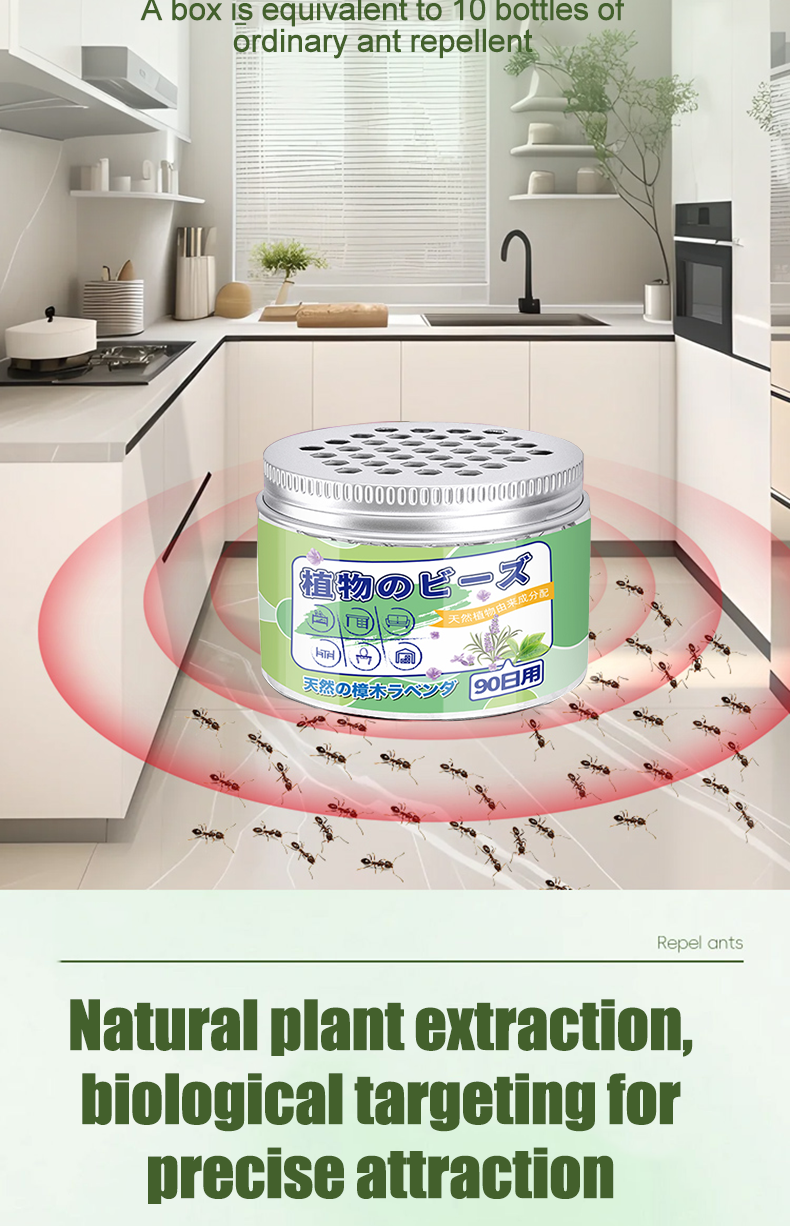 【SG Stock】Ant Killer/Repellent Magic Box/ lizard repellent/cockroach ...