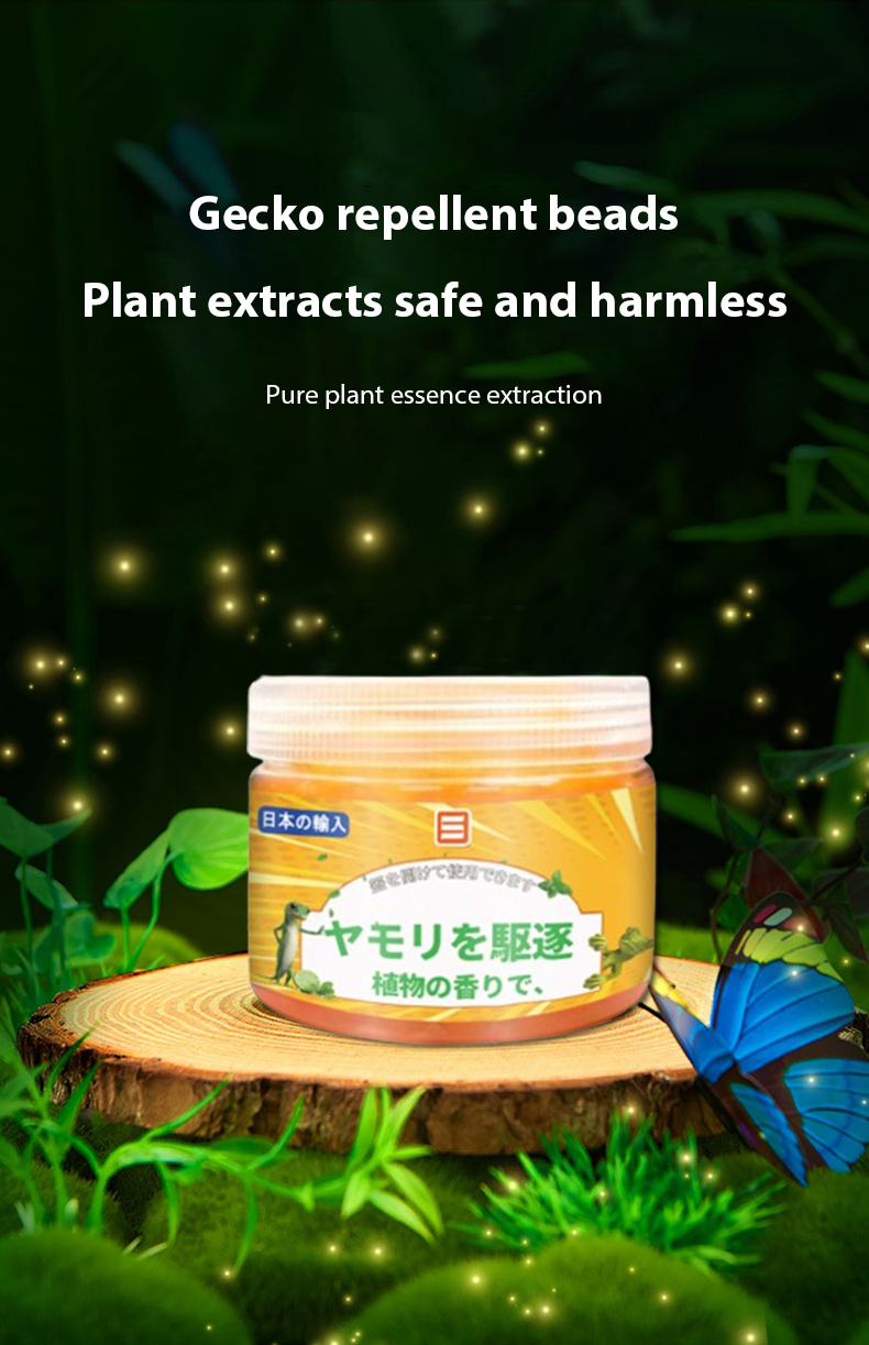 Lizard Repellent Gecko Repellent Magic Box Plant Formula Upgraded ...
