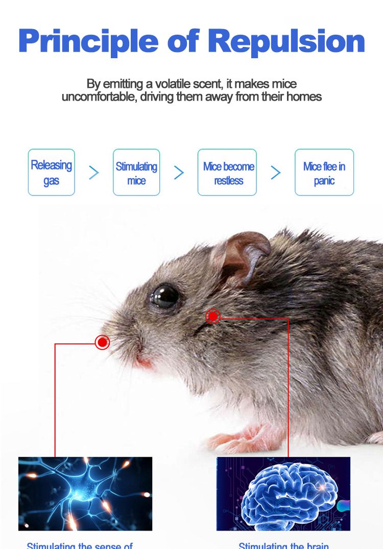 【𝗦𝗚 𝗦𝗧𝗢𝗖𝗞】 Rat Repellent Gel Rat Control Magic Box Deratization Cream ...