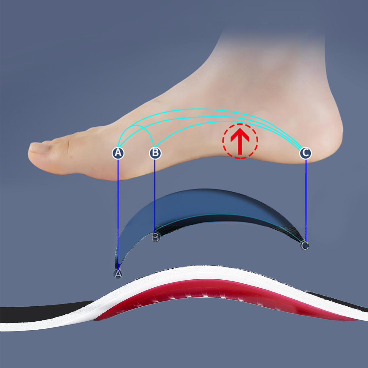 Orthopedic insole Arch Support Flatfoot Orthopedic Palms to Feet and ...