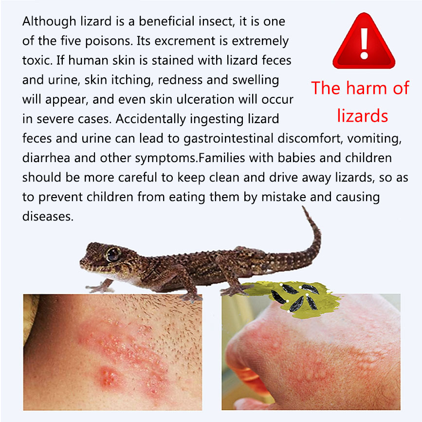 All the Lizard died BS Lizard killer Lizard poison Safe and quick to ...