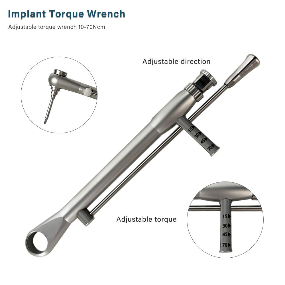 NICEDEN Dental Implants Tools Torque Wrench Screw drives Prosthetic Kit ...
