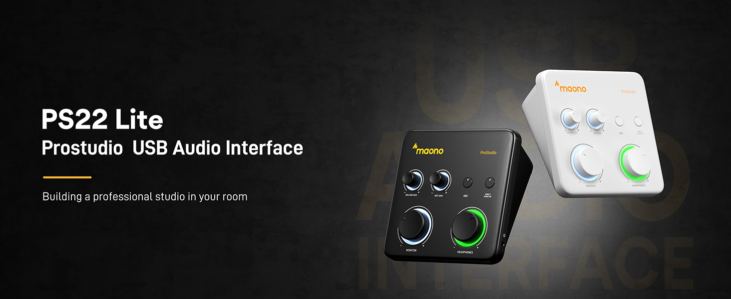 Maono PS22 Lite Audio Interface Sound Card with XLR Input 24-bit/192kHz Routing Software ...