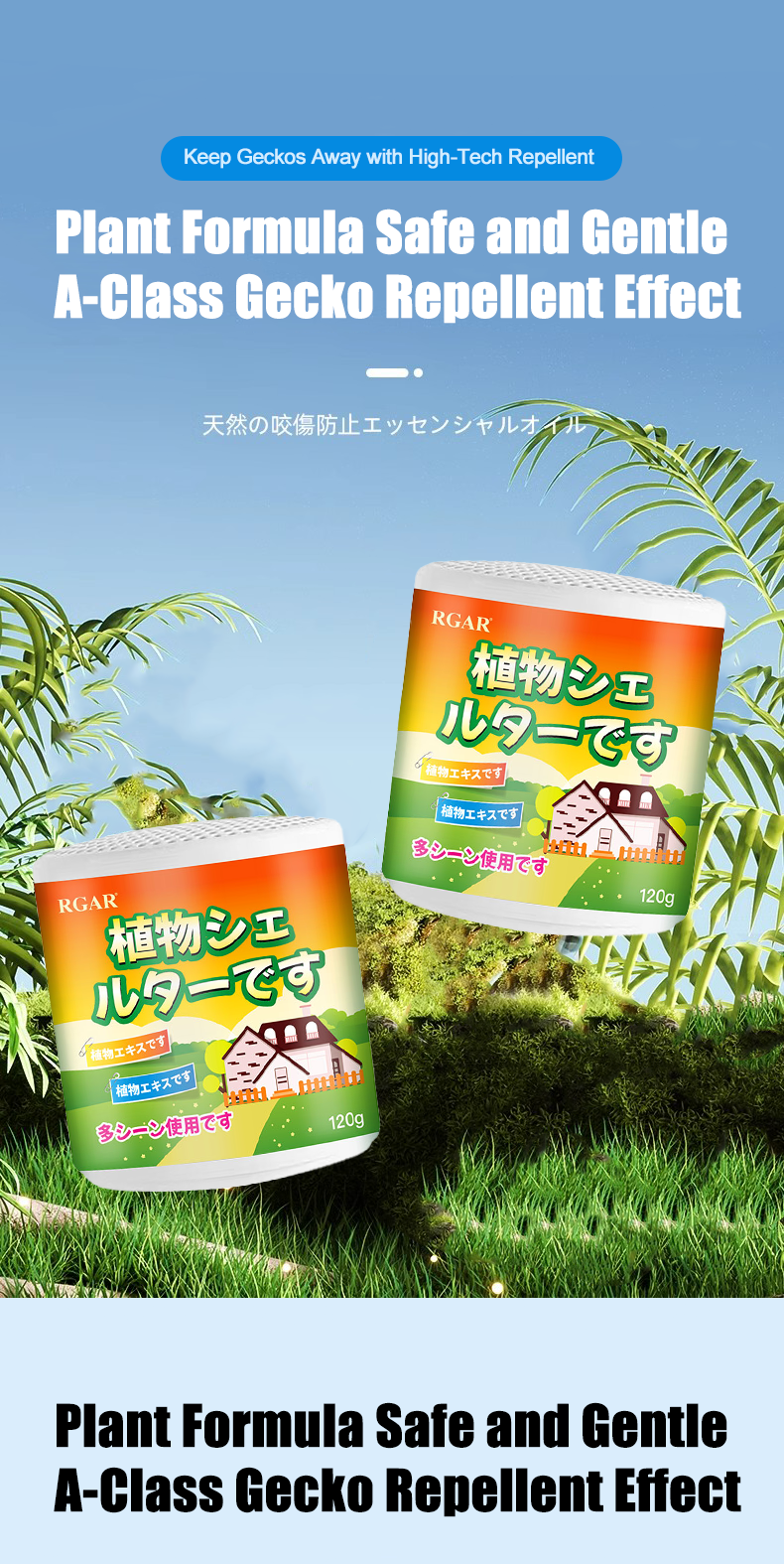 【🇸🇬𝗦𝗚 𝗦𝗧𝗢𝗖𝗞】Lizard Killer Gecko/Lizard repellent magic box 360°Full ...