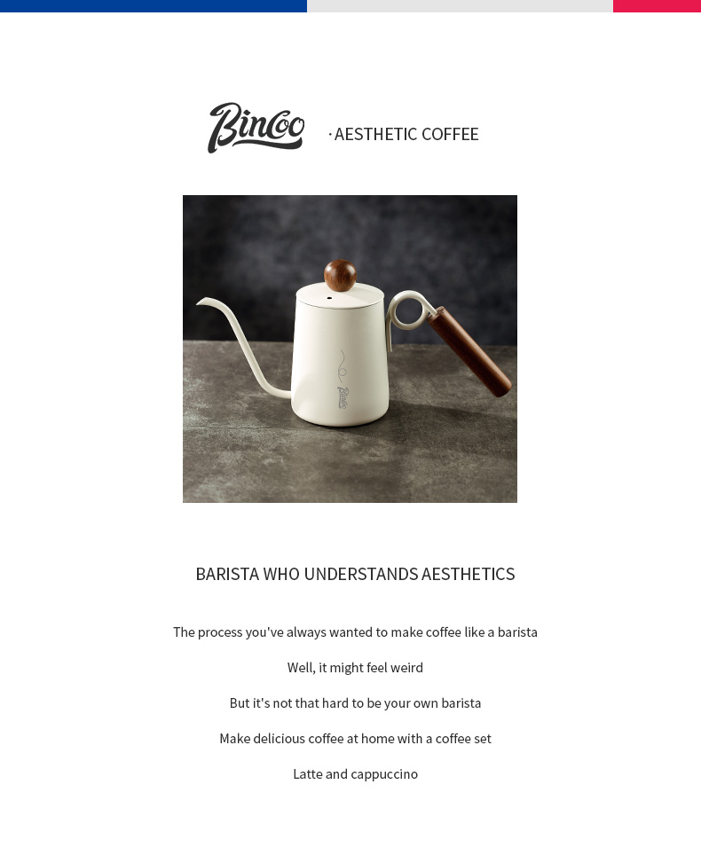 BINCOO Coffee Hand Brewing Pot Stainless Steel Swan Thin Spout Long ...
