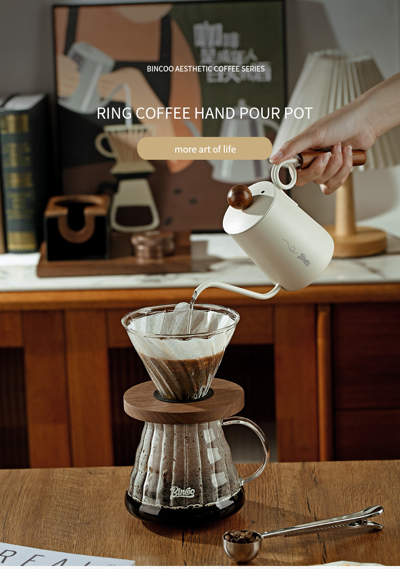 BINCOO Coffee Hand Brewing Pot Stainless Steel Swan Thin Spout Long ...