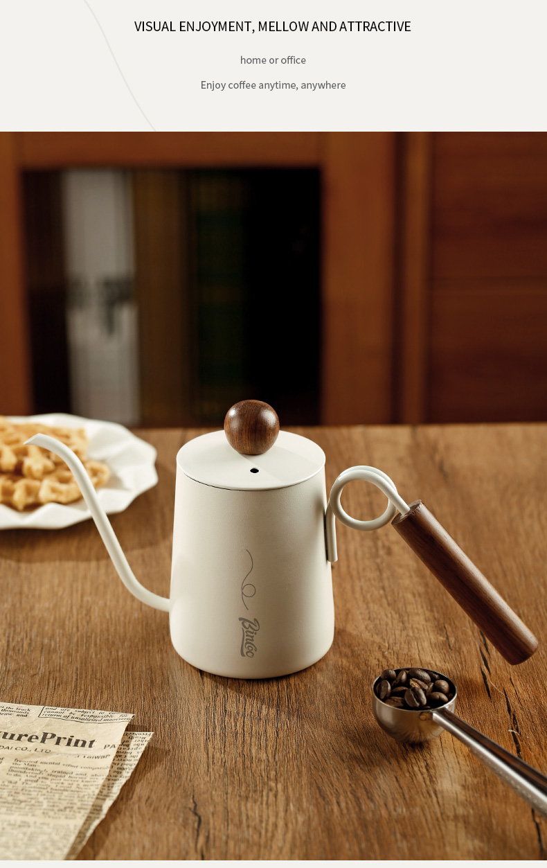 BINCOO Coffee Hand Brewing Pot Stainless Steel Swan Thin Spout Long ...