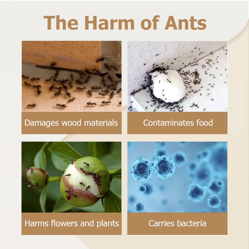 300ML Ant Killer Anti Ant Repellent Spray Semut Racun Ubat Semut Buster ...