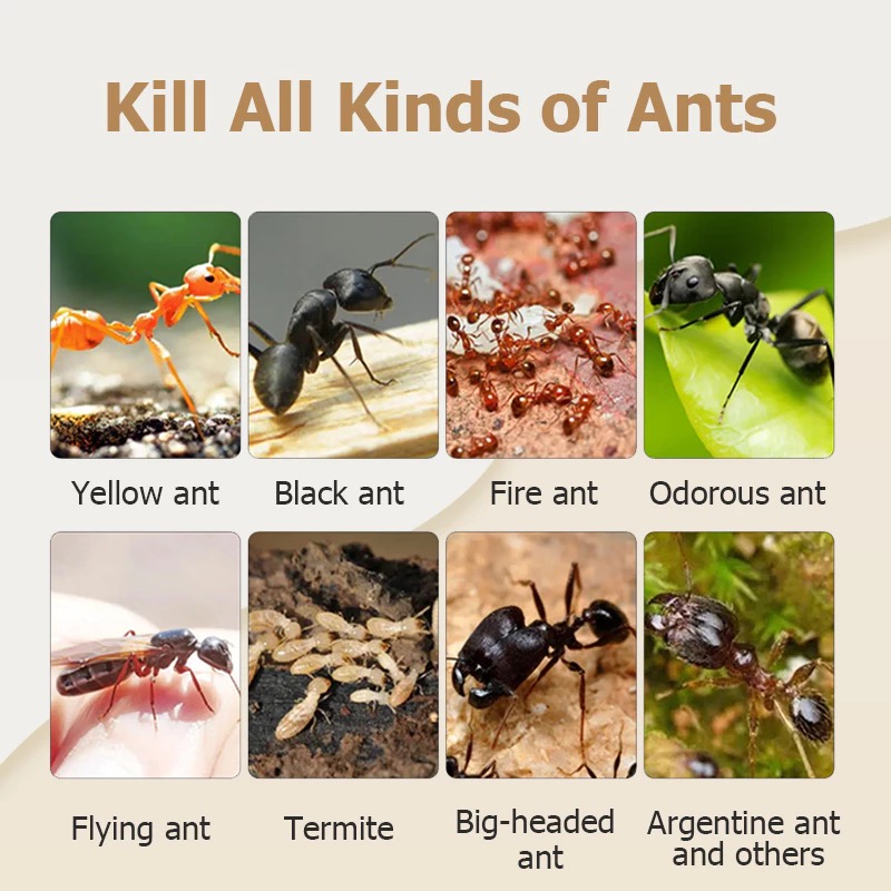 300ML Ant Killer Anti Ant Repellent Spray Semut Racun Ubat Semut Buster ...