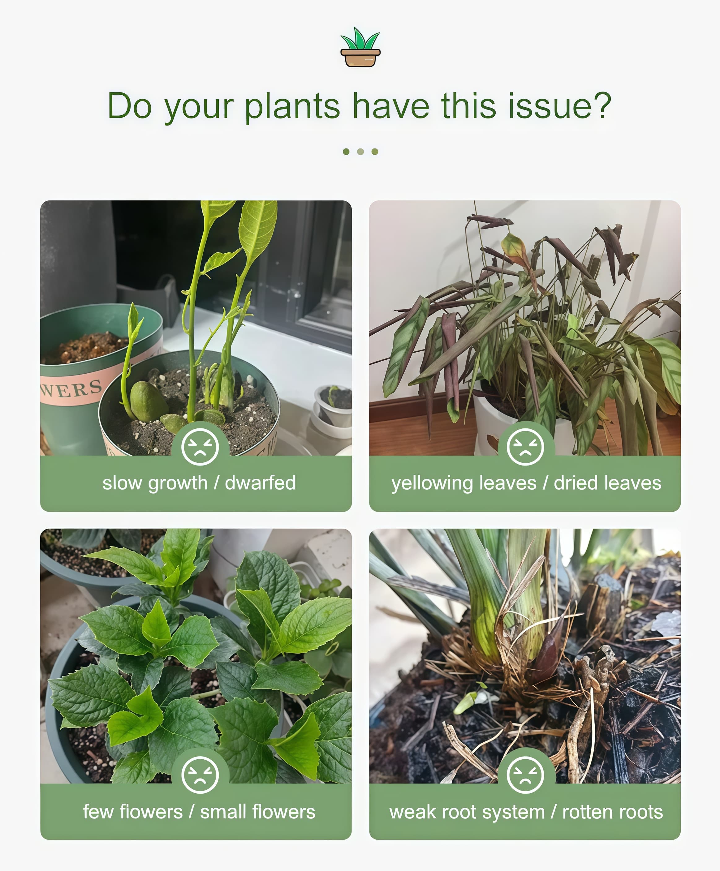 German ️Fertilizer For Plants Garden Soil Fertilizers Improves Plant ...