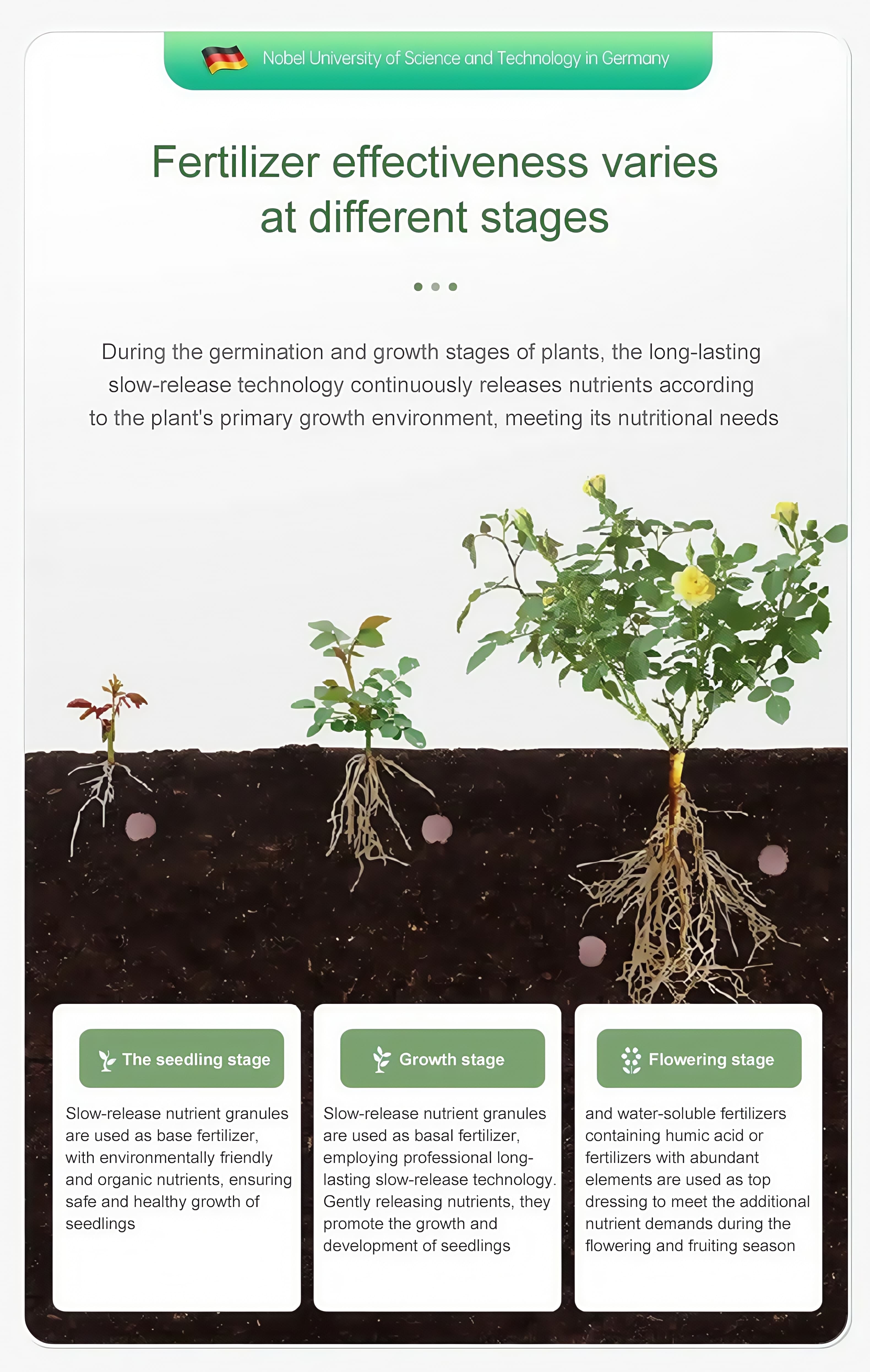 German ️Fertilizer For Plants Garden Soil Fertilizers Improves Plant ...