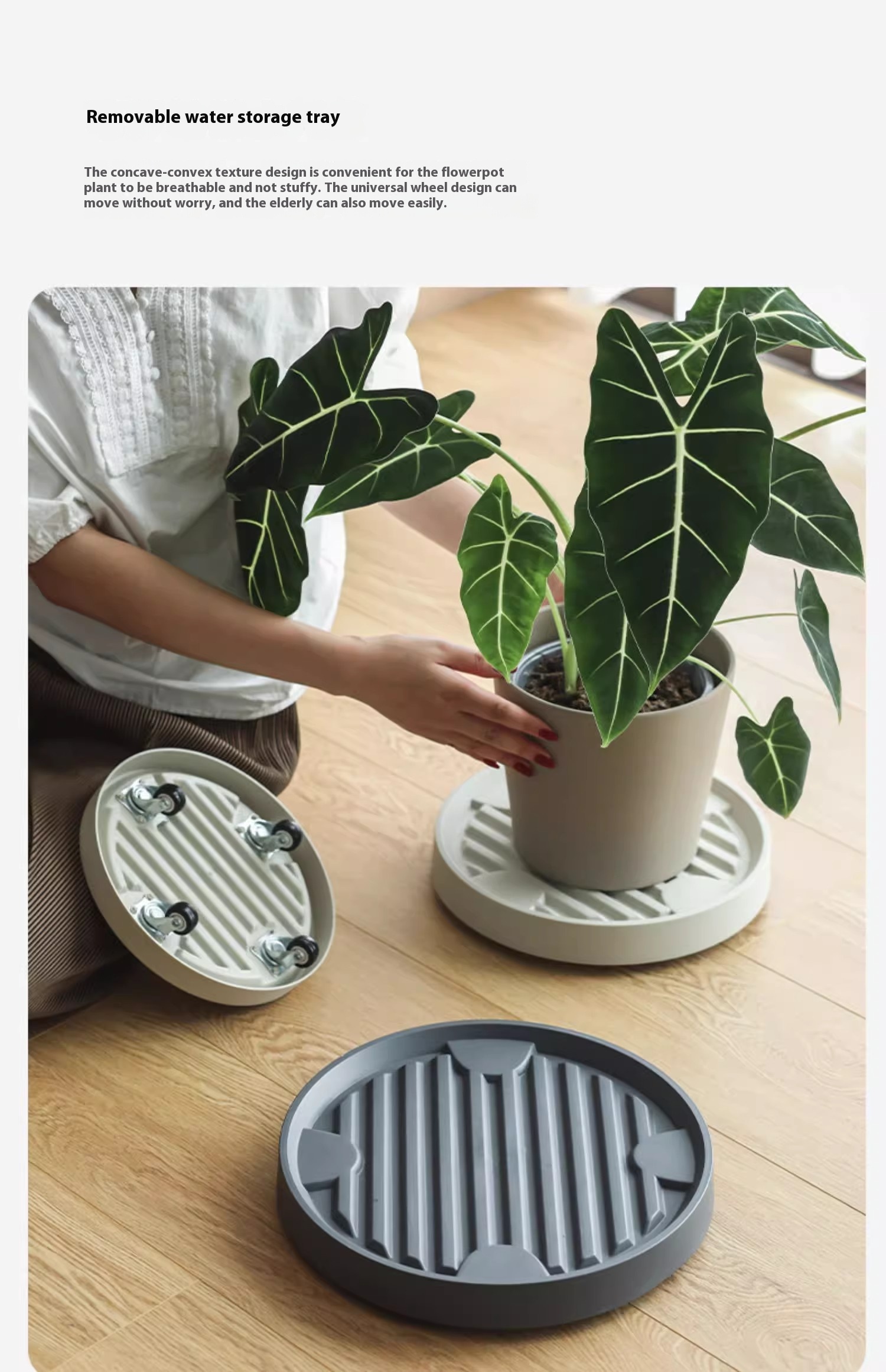【SG Local Horticulture】Otis Movable Round Plant Pot Tray with Wheels ...