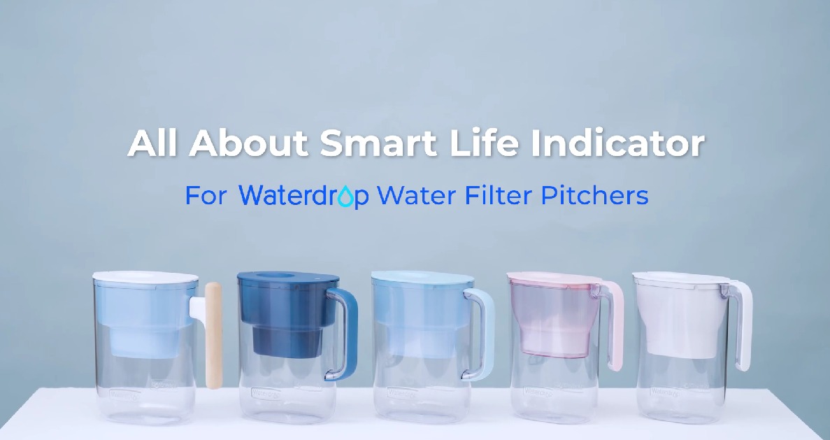 Waterdrop NSF Certified 2.5L Water Filter Jug, Filters' Lifespan Almost ...