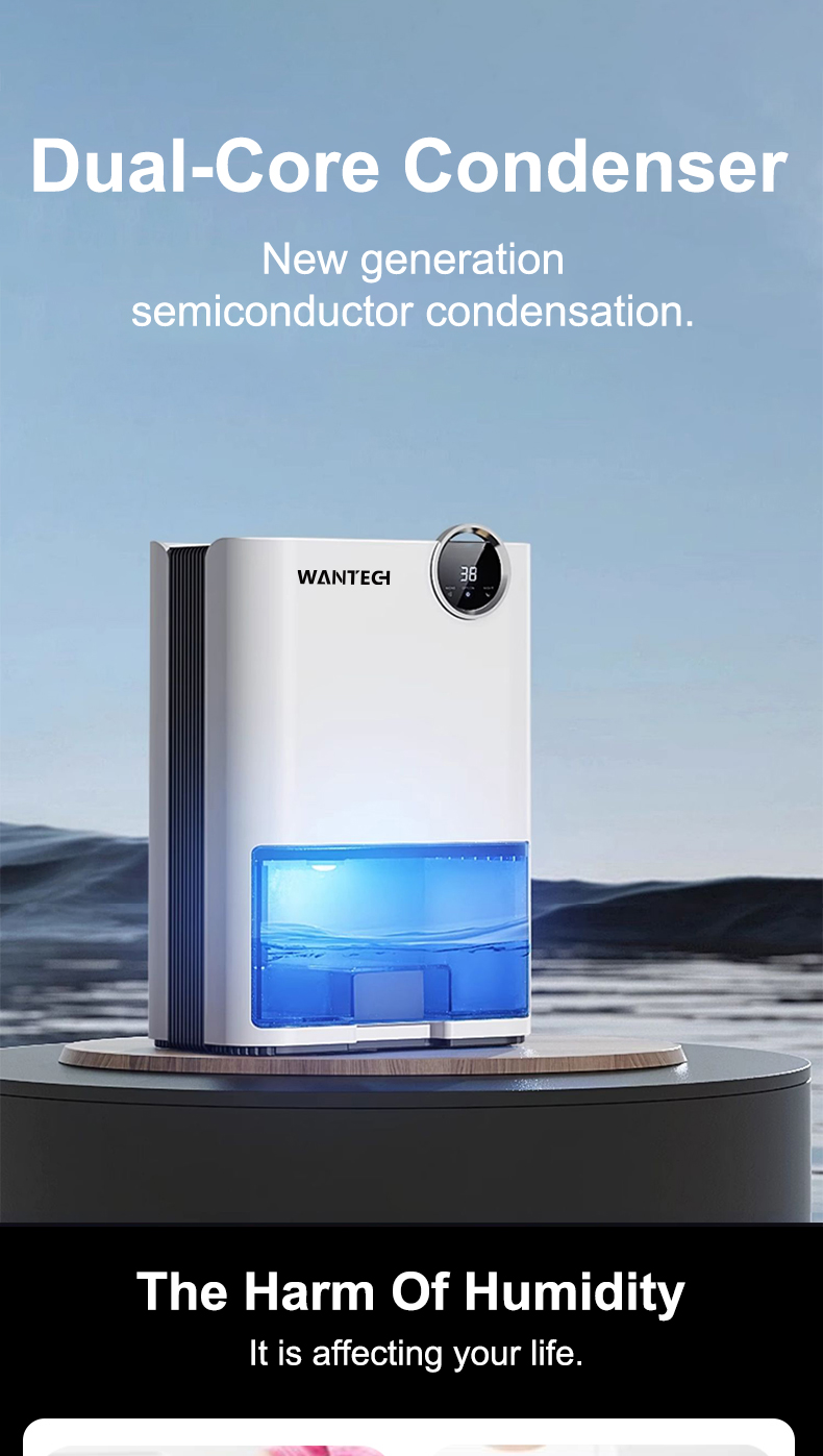 【SG Stock】 WANTECH™ Dehumidifier Air Purifier 1L/D|2LTank 2 in 1 Air ...