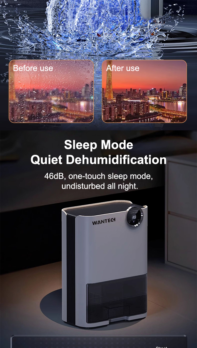 【SG Stock】 WANTECH™ Dehumidifier Air Purifier 1L/D|2LTank 2 in 1 Air ...