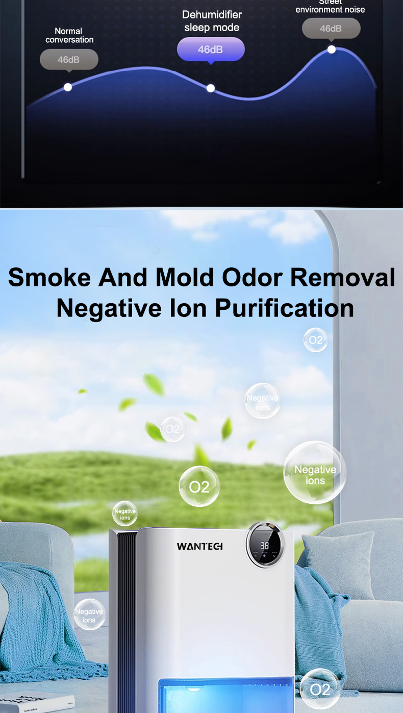 【SG Stock】 WANTECH™ Dehumidifier Air Purifier 1L/D|2LTank 2 in 1 Air ...