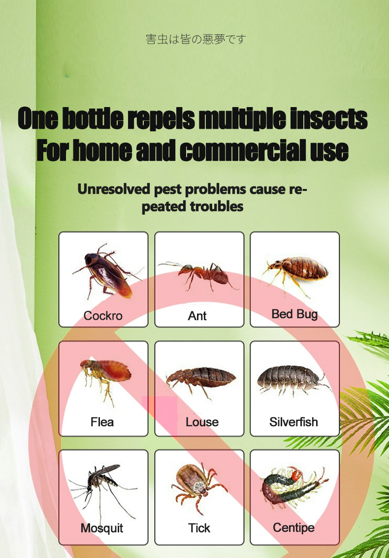 【RGAR】 Plant-based Cockroach Repellent Gel Safe Non-toxic Cockroaches ...