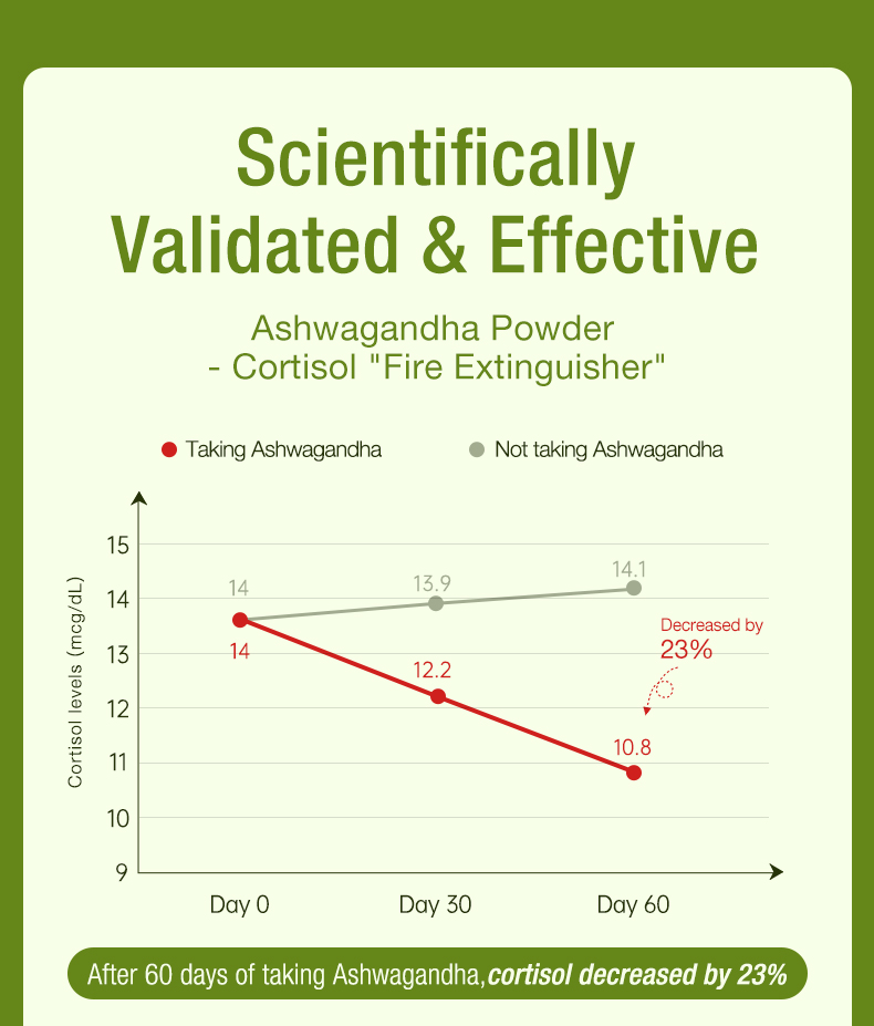 【Unichi】Nutrition Ashwagandha Teddi Lab Gummy（60 gummies）Improve Sleep ...