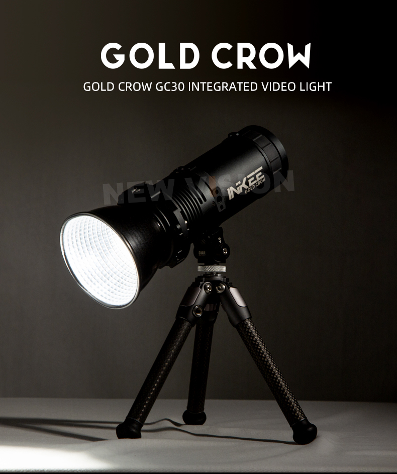 INKEE GC30 Gold Crow 30W LED Video Light Photographic Strobe Lighting ...