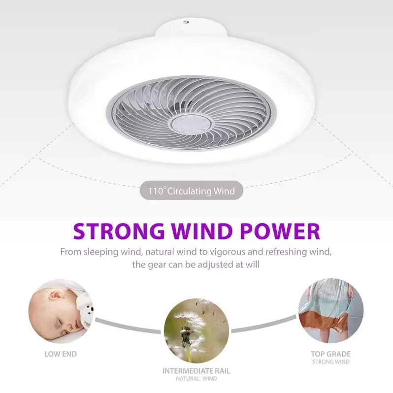 [SG Stock] Ceiling Fan Light Intelligent 6-Speed Timed With Remote ...
