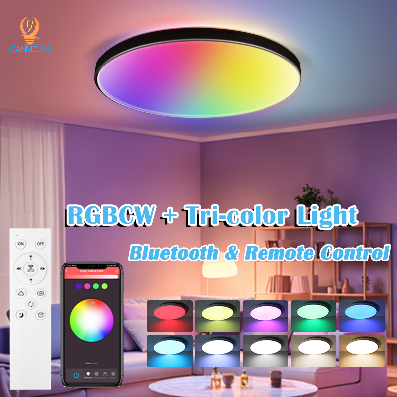 Dimmable Ceiling Light with Remote Control Led Ceiling Lamp Modern Tri ...