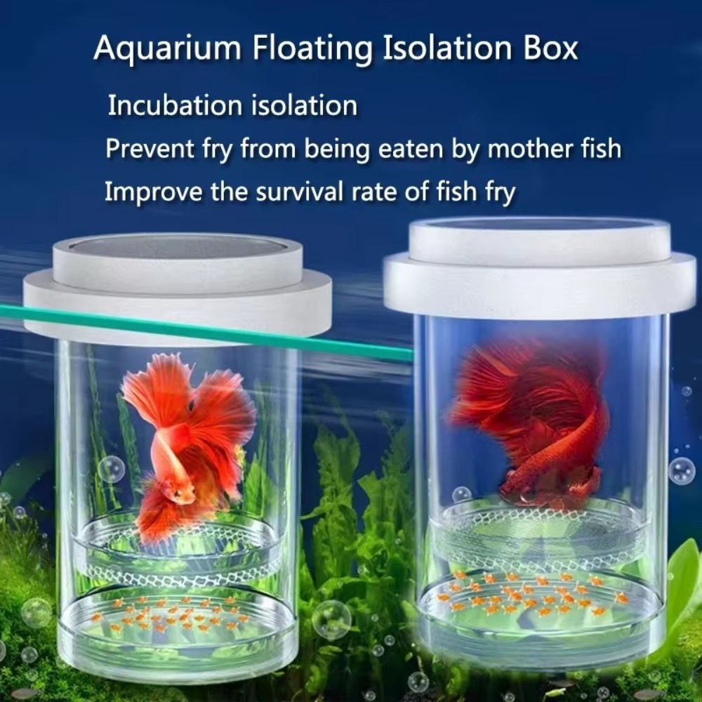 🐟BOLONI12 Floating Hatching Box, Plastic Mesh Shrimp Guppy Floating ...