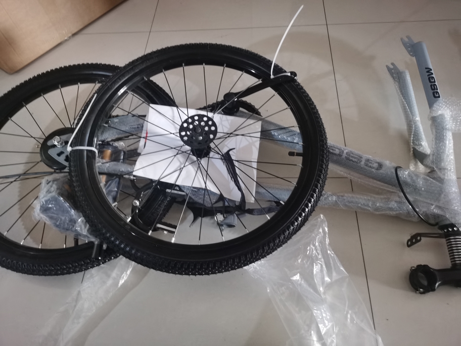 【SHIP FROM SG】Student Kids Mountain Bike 20 INCH bicycle Teenagers Boys ...