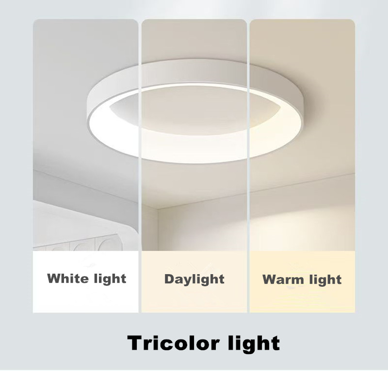 Simple Ceiling Lamp,Modern LED Ceiling Lights,Nordic Home lamp,Bedroom ...