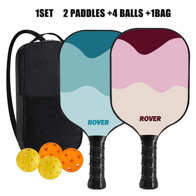 【SG STOCK】Pickleball Paddles Set USAPA Approved Pickleball Set with ...