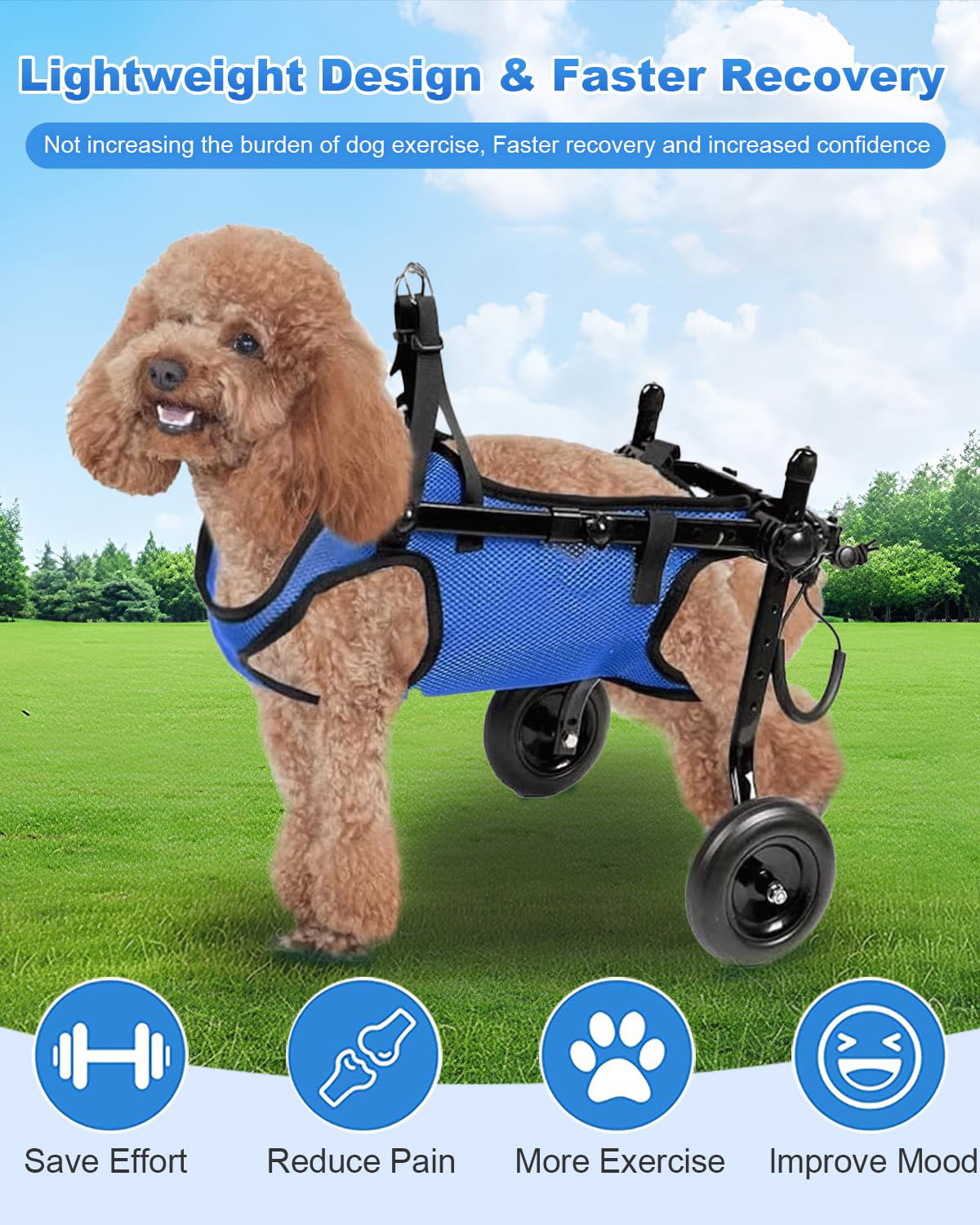 Dog Wheelchair For Back Legs, Cart Doggy Wheelchair With Disabled Hind ...